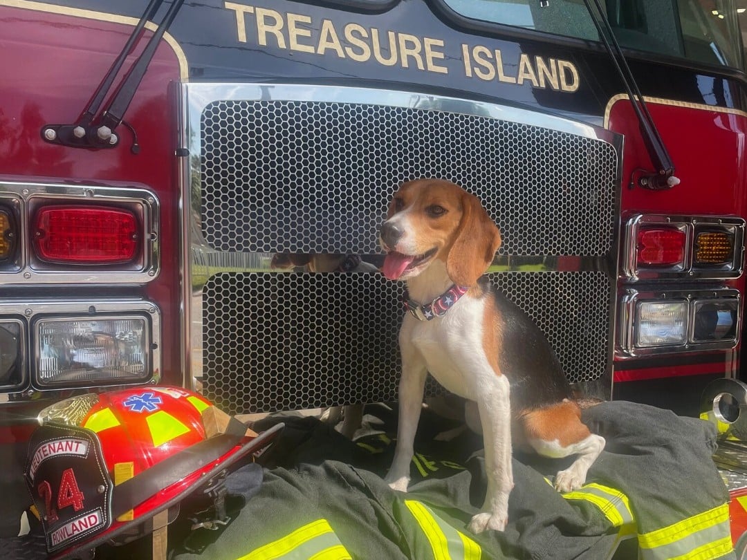 Dog House Fire Station Logo