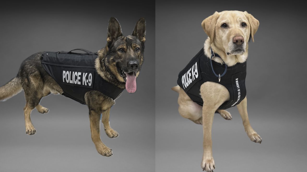 Pair of Wilmington Police K9s receive protective vests - WWAYTV3