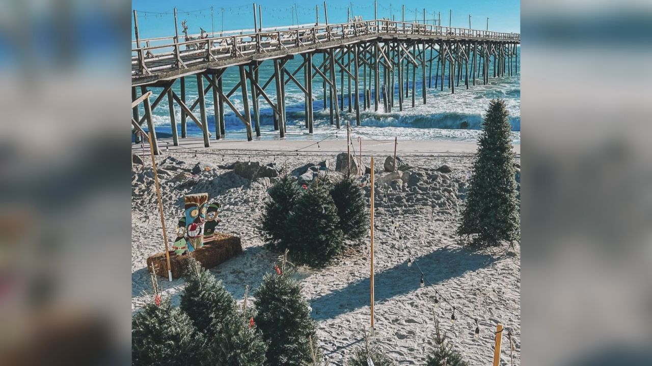Christmas trees pop up for sale on the sand at Carolina Beach Pier ...