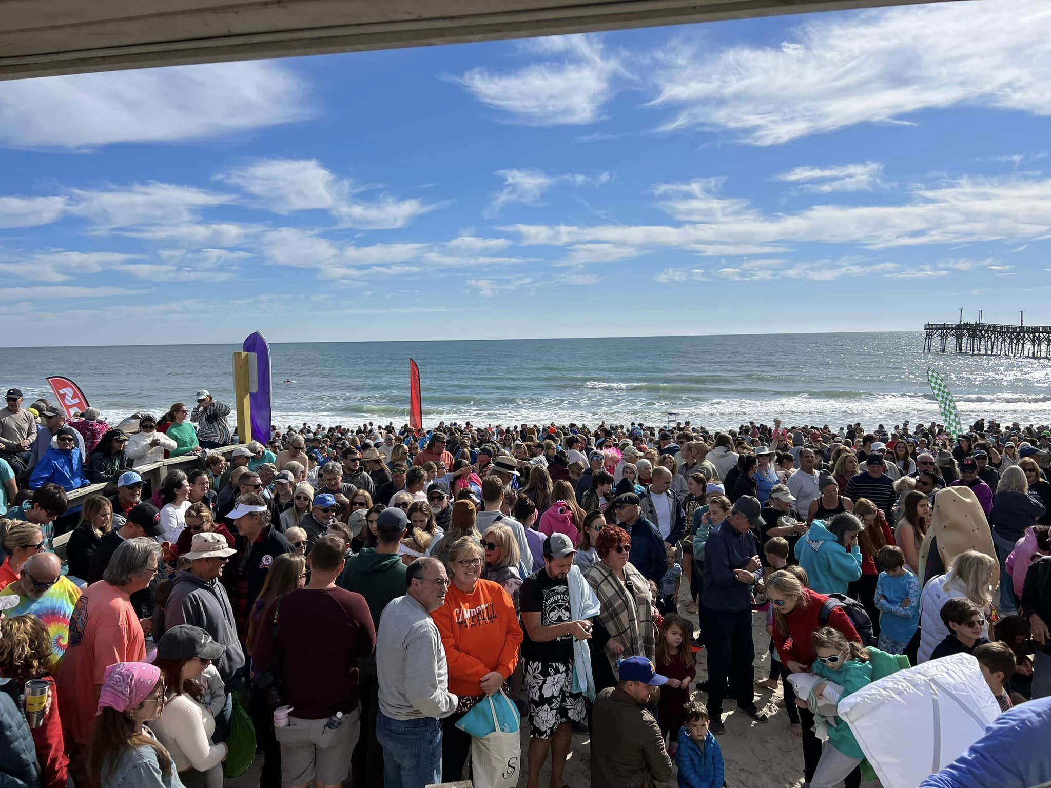 New Year's Day Dolphin Dip in Surf City will support Share the Table ...