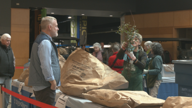 Community gathers for the 28th Annual TreeFest, continuing a ...