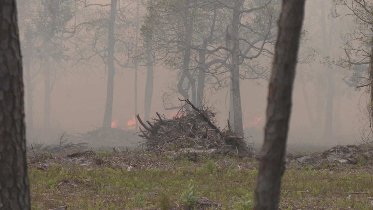 NC Forest Service urges caution as spring wildfire season arrives ...