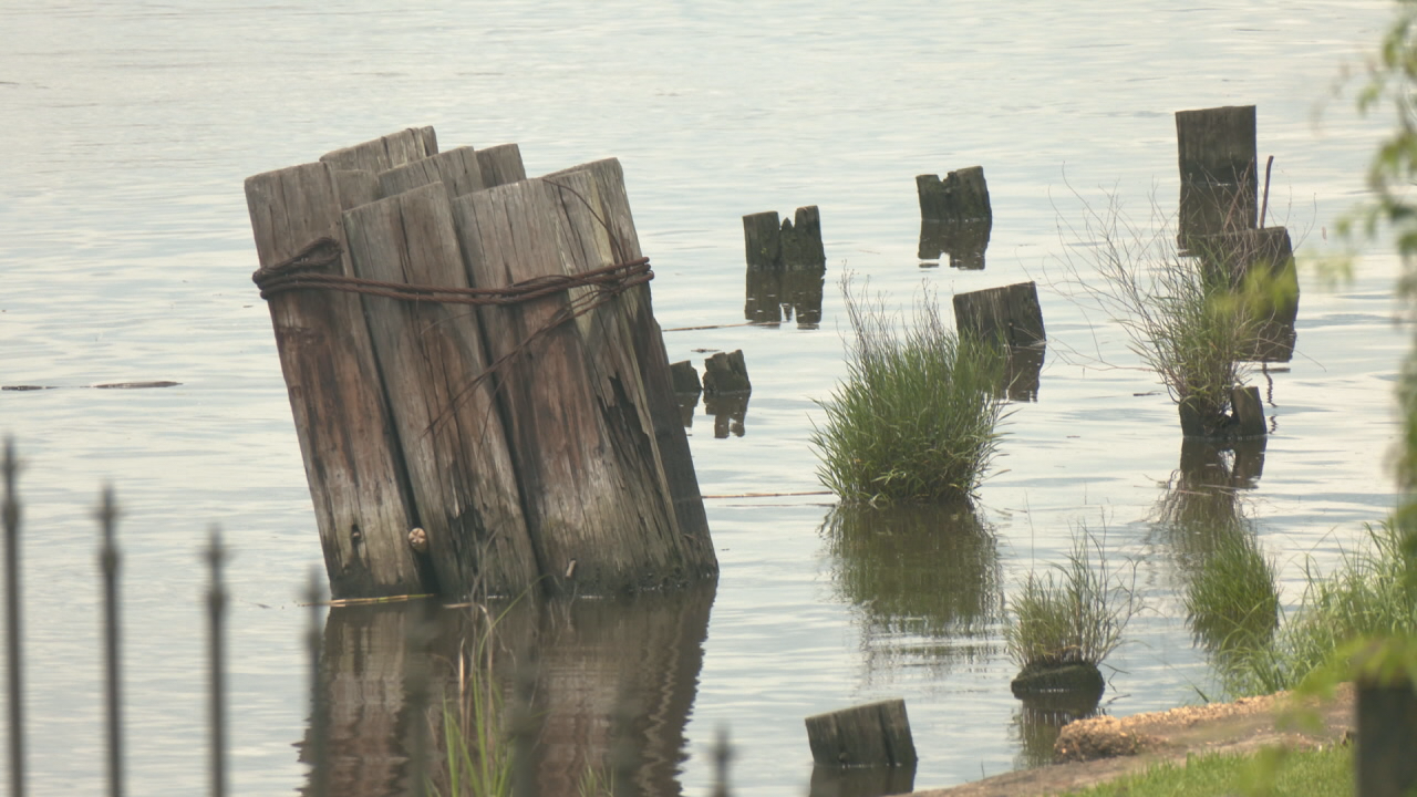 DEQ releases data from preliminary study of PFAS in biosolids ...