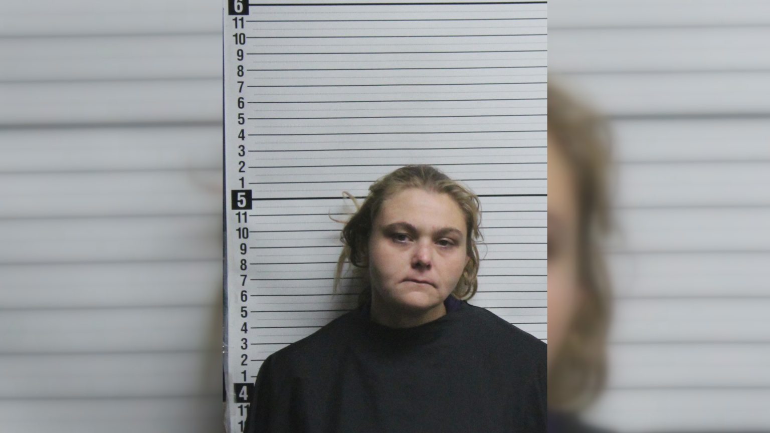 Boiling Spring Lakes woman arrested following domestic incident - WWAYTV3
