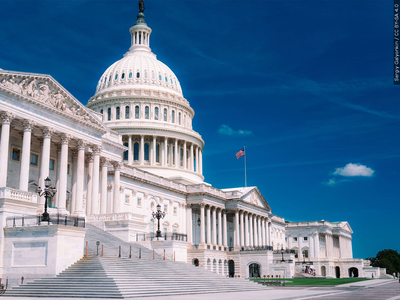 Former sports reporter Michele Tafoya files to run for U.S. Senate in ...