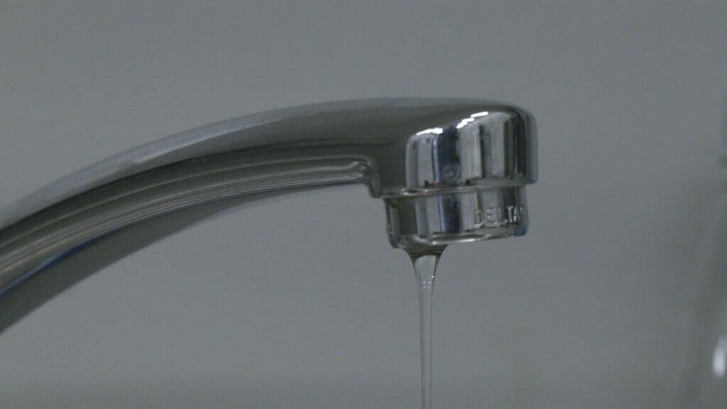 How to prepare your home and garden plants ahead of winter storms - WWAYTV3