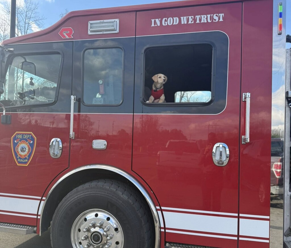 Meet Hal, the newest and furriest member of Burgaw Fire Department ...
