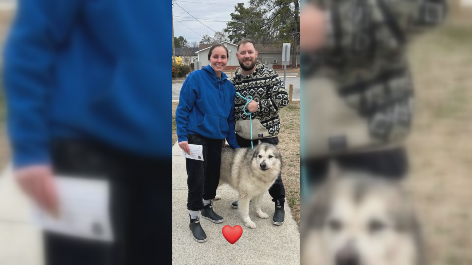 Dog reunited with owners after going missing for several years - WWAYTV3