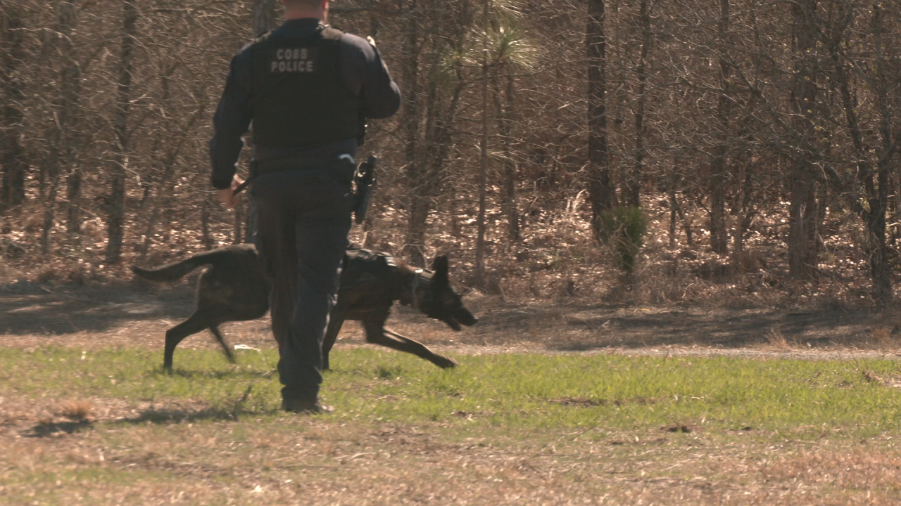 Multi-agency training focuses on search and rescue operations in Pender ...