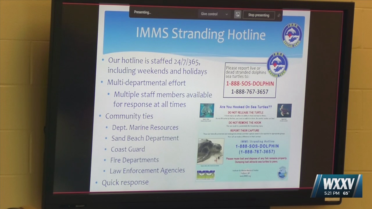 IMMS training for stranding season - WXXV News 25