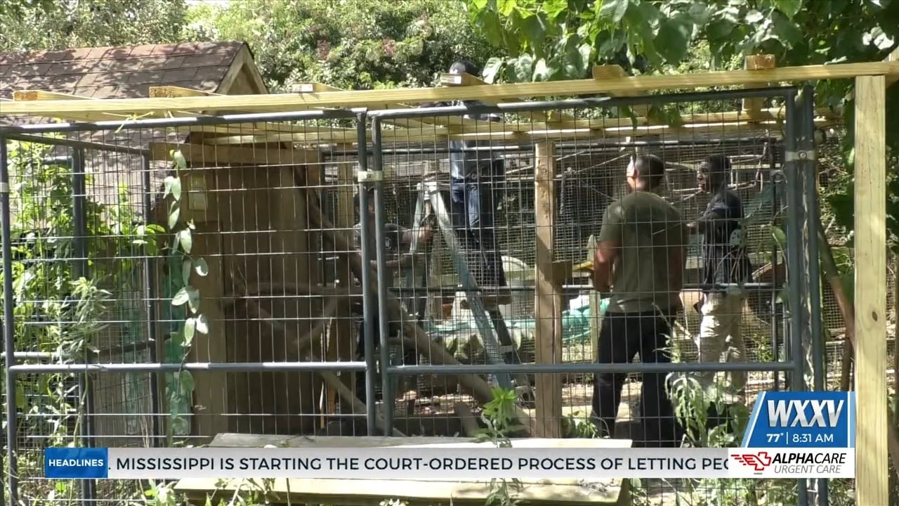 Woodside Wildlife Rescue in Pass Christian seeks permit - WXXV News 25