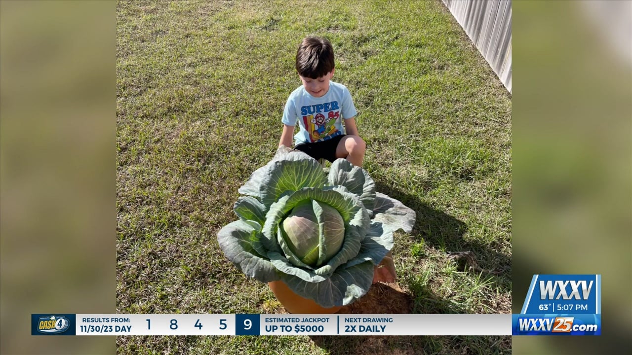 North Woolmarket student wins cabbage growing contest - WXXV News 25
