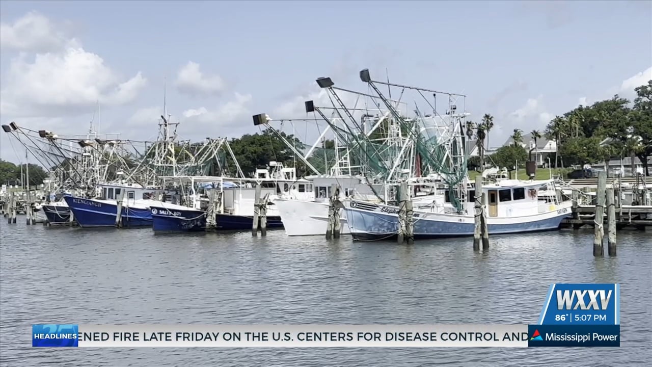 Getting an update on 2025 Shrimping Season - WXXV News 25