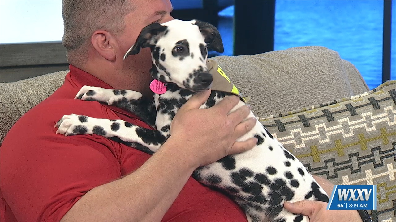 Meet Ruby, the Wiggins Fire Department’s newest member - WXXV News 25