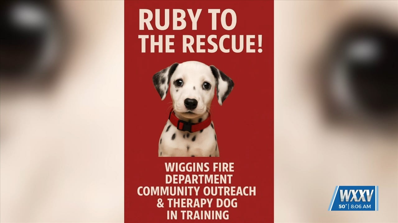 Wiggins Fire Department welcomes new dalmatian to the team - WXXV News 25