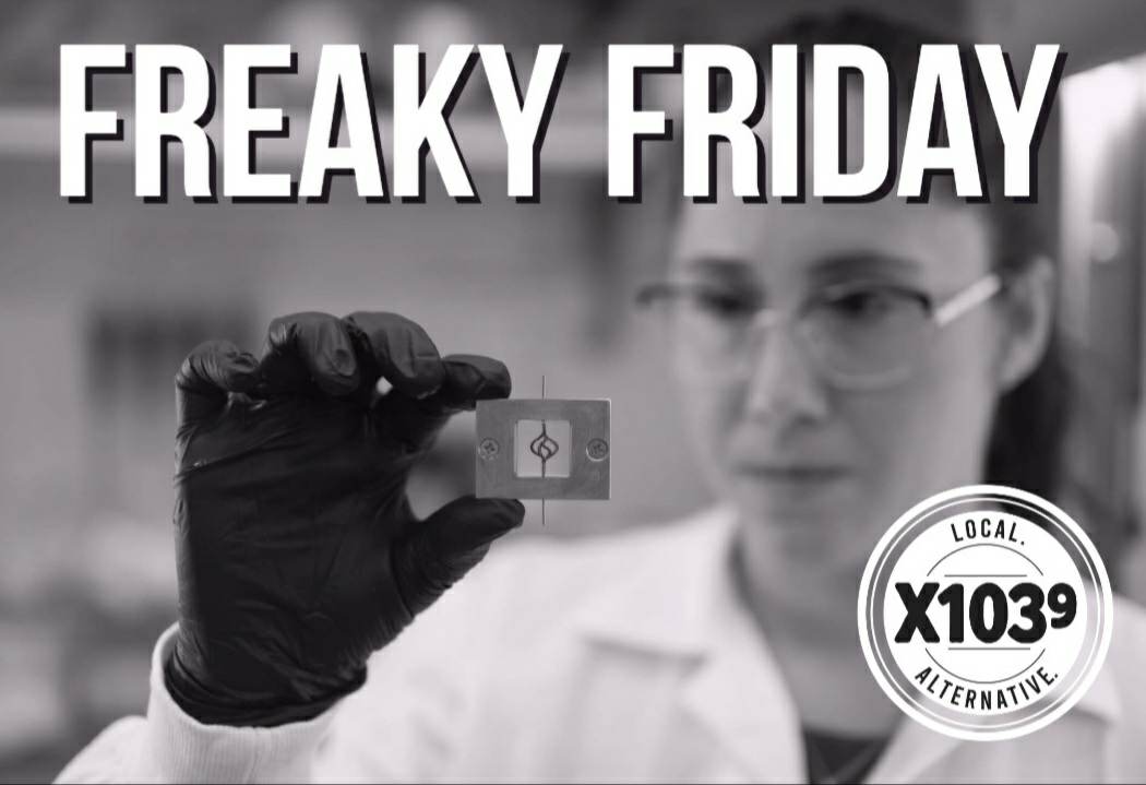 FREAKY FRIDAY: Brain Cells Like Pong - X1039